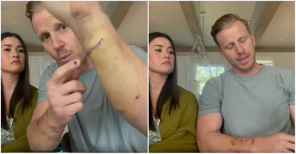 The Sean Lowe Dog Attack Controversy Explained — What Happened?