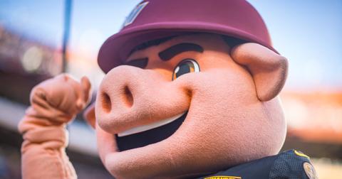 Why Is the Commanders' Mascot a Pig? The Story Explained