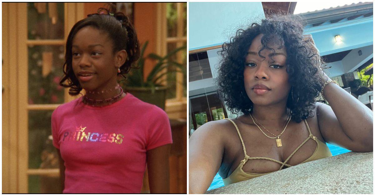 My Wife and Kids Cast Now, 20 Years After Finale