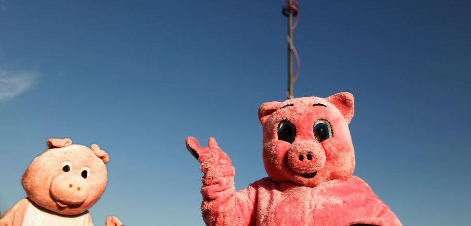 "Got Autism?" — PETA Under Fire for Viral 2008 Advertisement