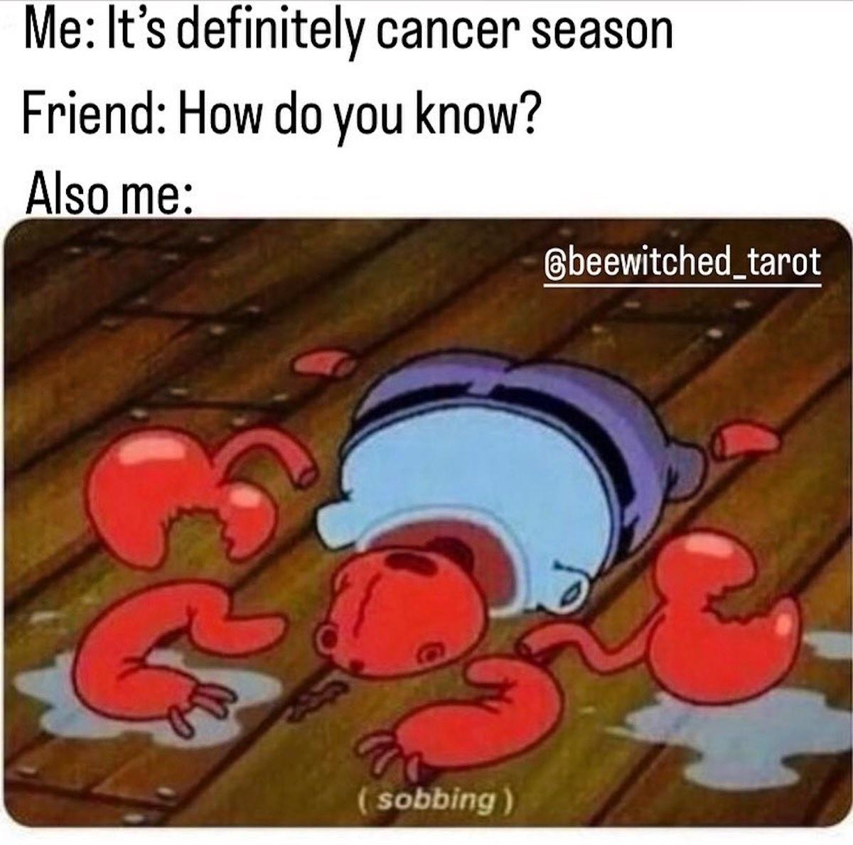 23 Cancer Season Memes You'll Find Astonishingly Relatable