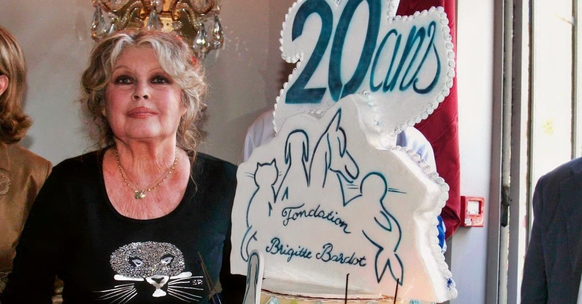 Brigitte Bardot's Controversial Beliefs Literally Cost Her