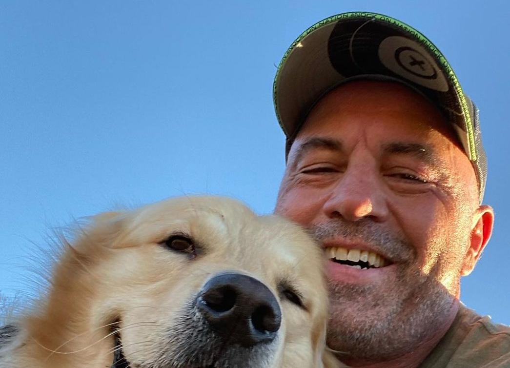 Top 5 Books Recommended by Joe Rogan to Transform Your Life