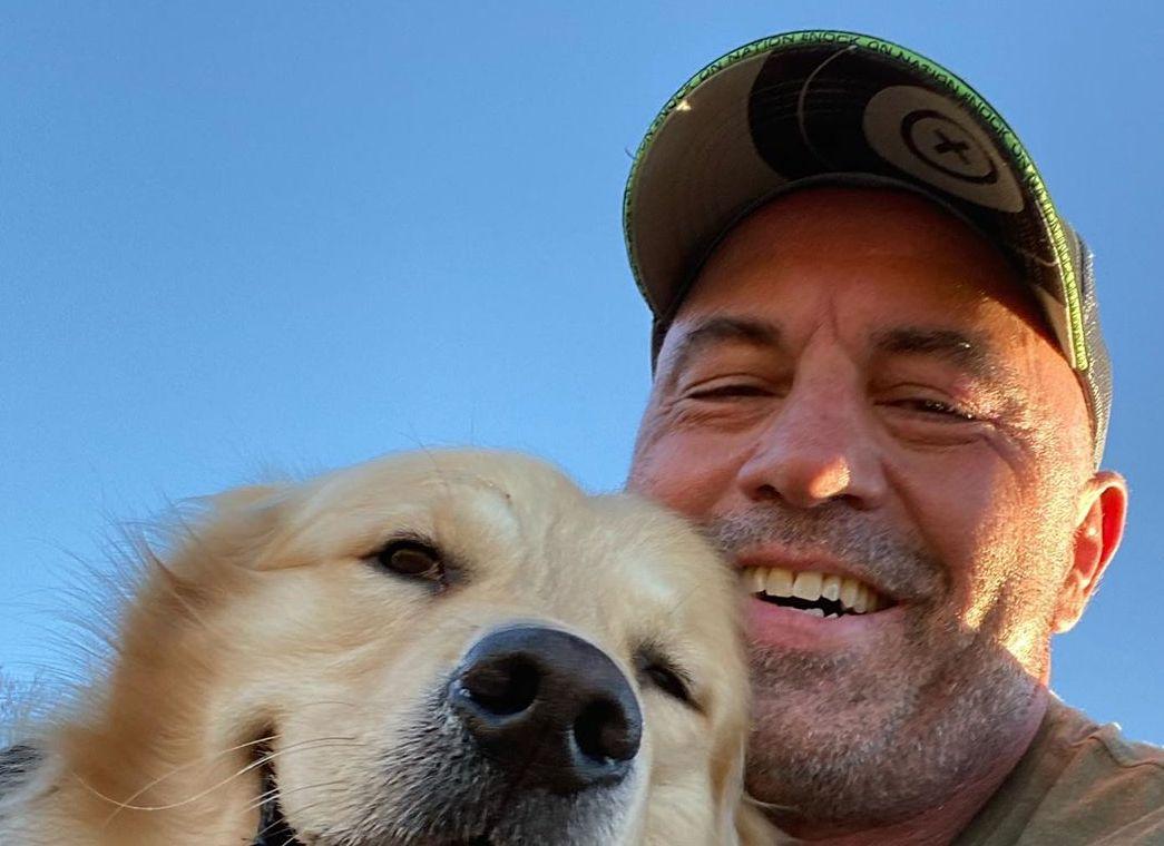 Top 5 Books Recommended by Joe Rogan to Transform Your Life