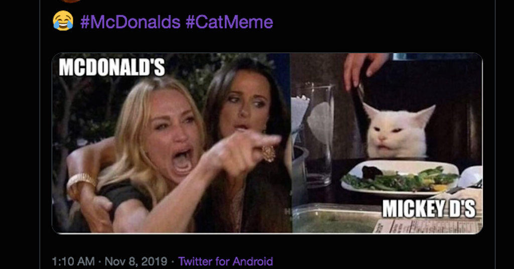 These White Cat Memes Are Peak Internet Humor, TBH — Details
