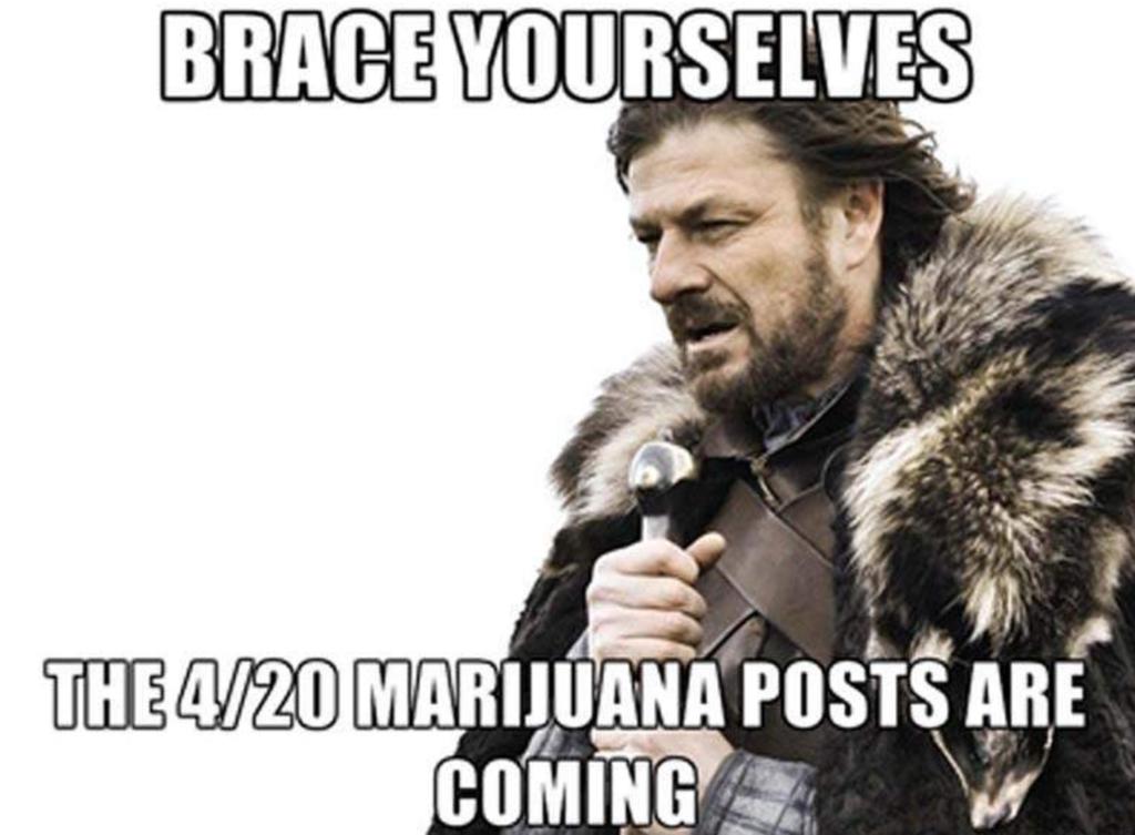 Let's Get Into These 420 Memes and Jokes!