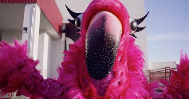 Who Is the Flamingo on 'The Masked Singer' Season 2? Spoilers!