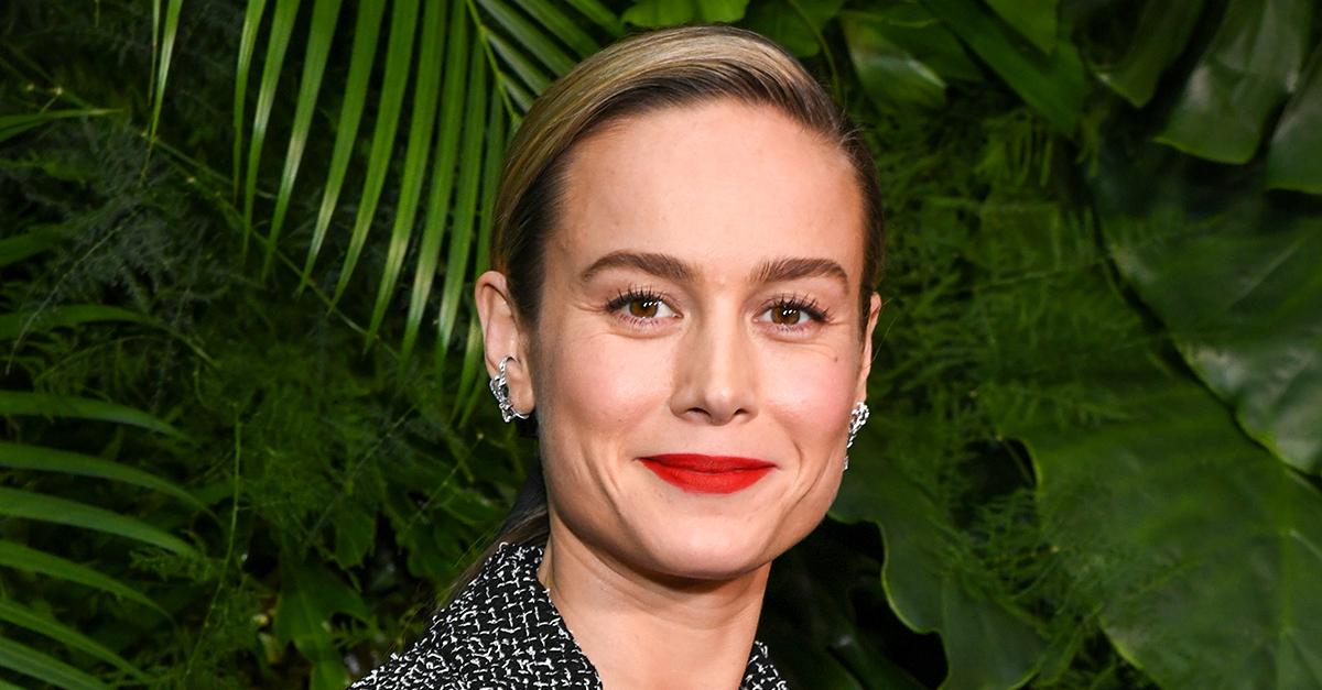 Who Are Brie Larson's Parents? Get to Know Her Mother