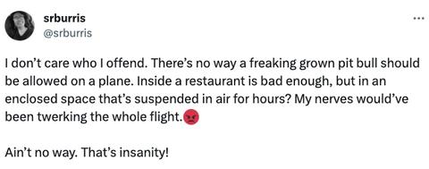 Woman Brings Pit Bull on Plane, Sparks Outage on the Internet