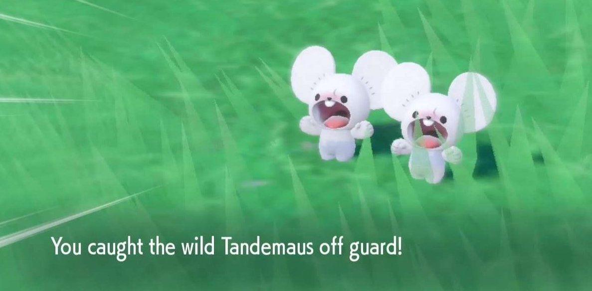 How to Get Maushold in 'Pokémon Scarlet' and 'Violet'