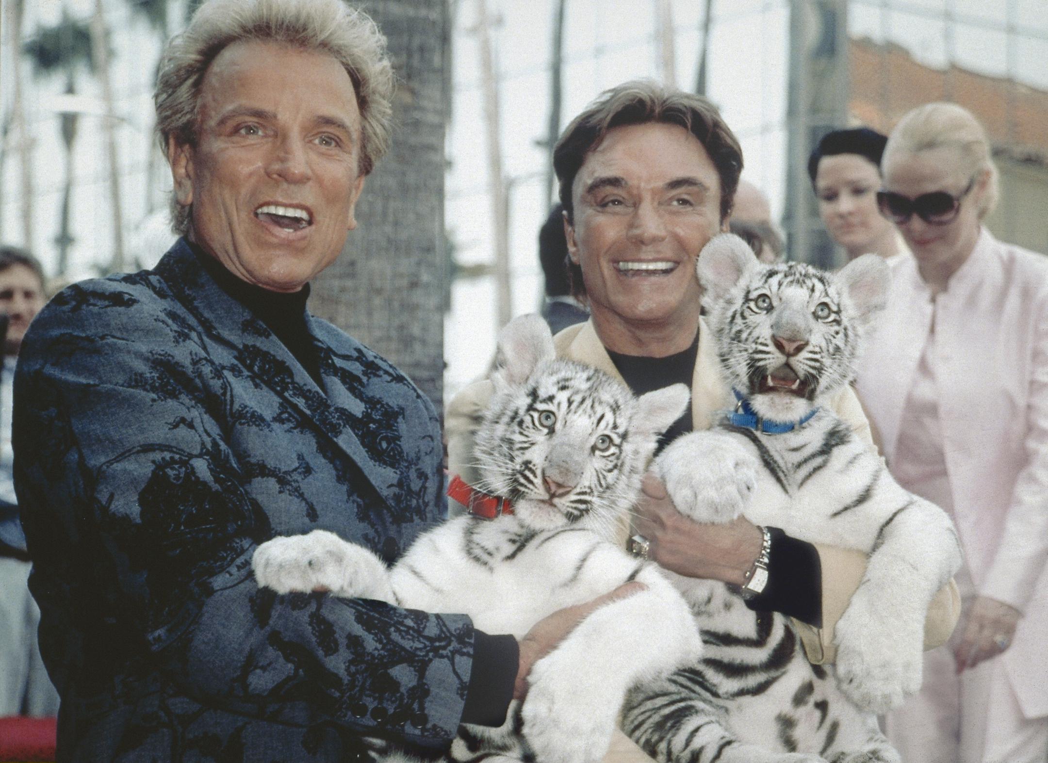 What Happened to Montecore? The 400-Pound Tiger Mauled Roy Horn