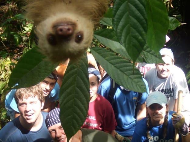 20 Animal Photobombs That Are Sure to Brighten Your Day
