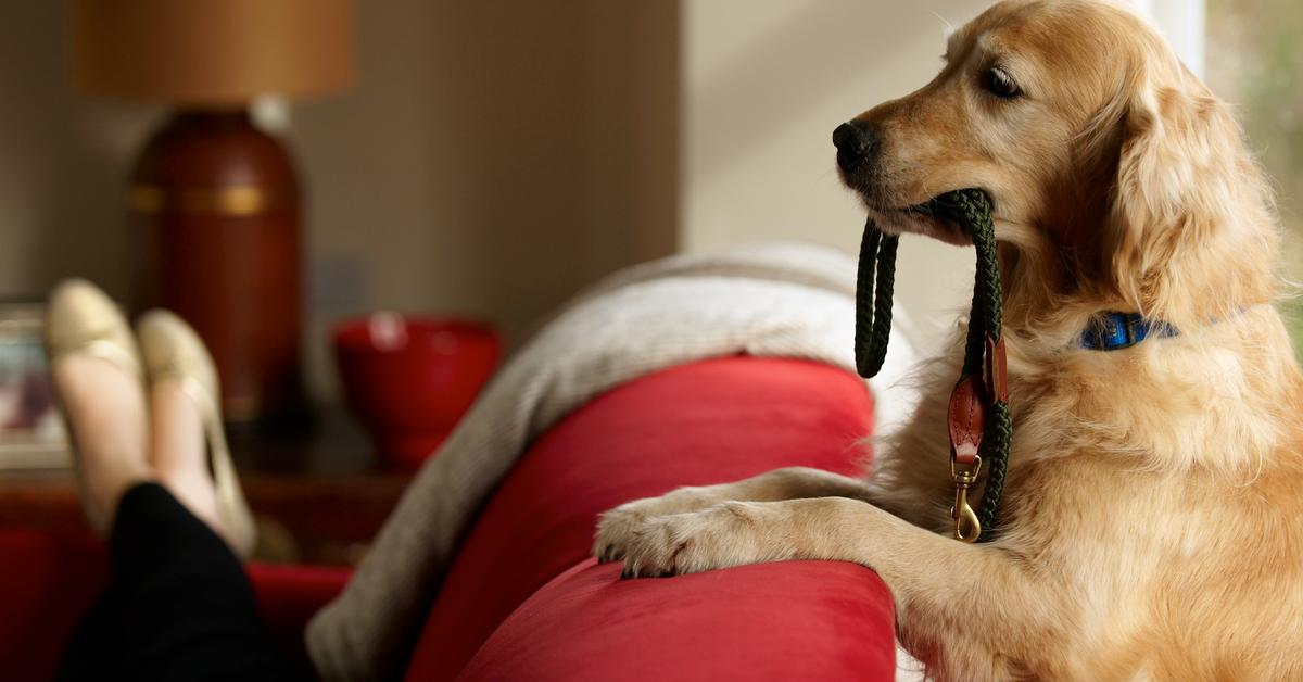 Here Are the Best TGIF Memes Since We're Glad It's Finally Friday