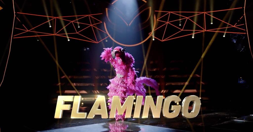 Who Is the Flamingo on 'The Masked Singer' Season 2? Spoilers!