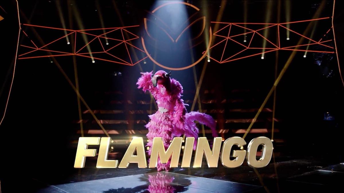 Who Is the Flamingo on 'The Masked Singer' Season 2? Spoilers!