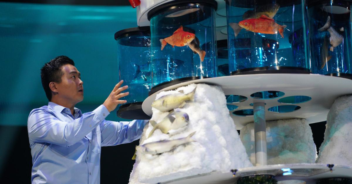 How to Get on ‘The Final Straw’: Info on New Game Show