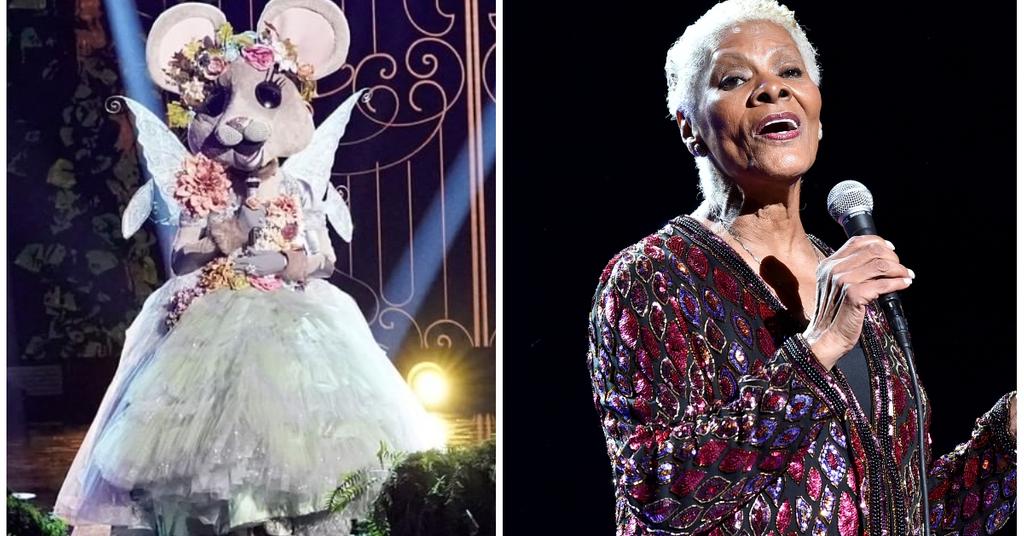 'The Masked Singer' Season 3 Reveal List — Updated