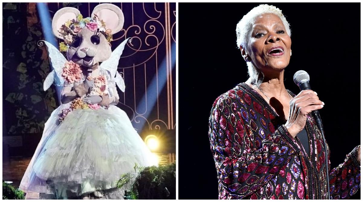 'The Masked Singer' Season 3 Reveal List — Updated