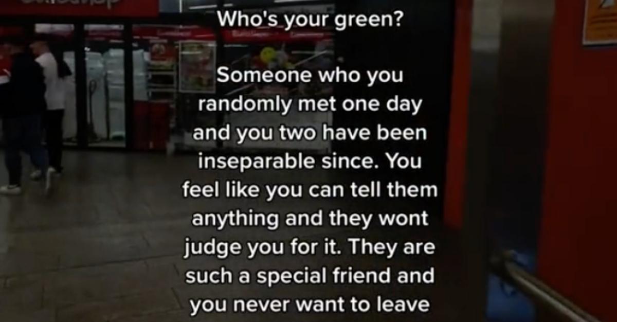 What Does Green Person Mean on TikTok? Relationship Code