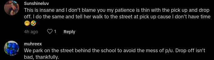 Mom Records Over 100 Cars in “Ridiculous” School Drop-off Line