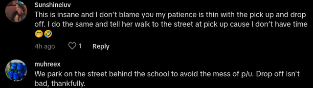 Mom Records Over 100 Cars in “Ridiculous” School Drop-off Line