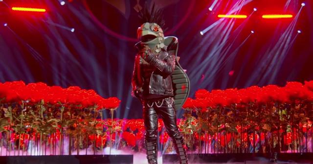 Who Is the Turtle on 'Masked Singer'? Clues Point To ...
