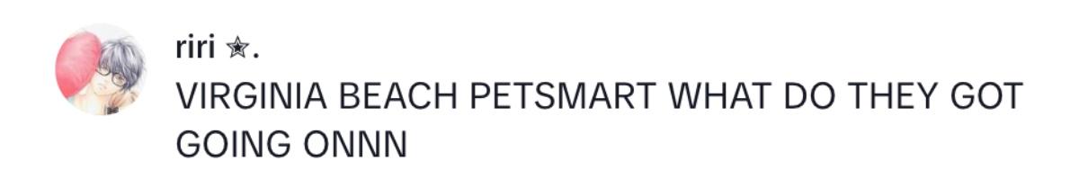 Shoppers Surprised to See Dead Fish in PetSmart Tank