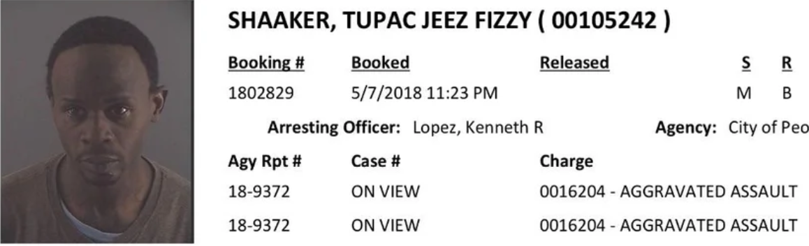 Best Mugshots of 2018