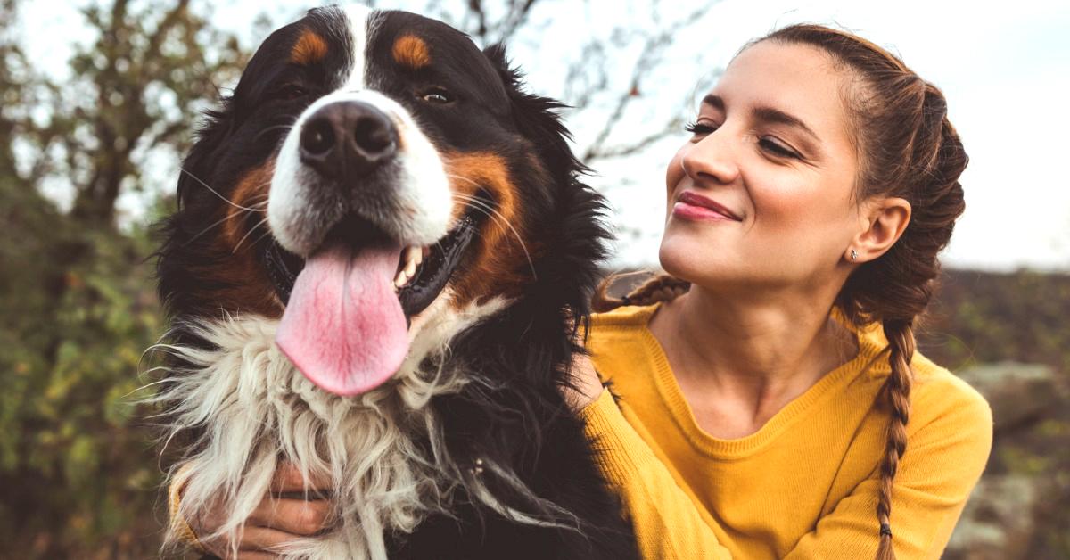Survey Proves Dog Owners Are Happier Than Cat Owners