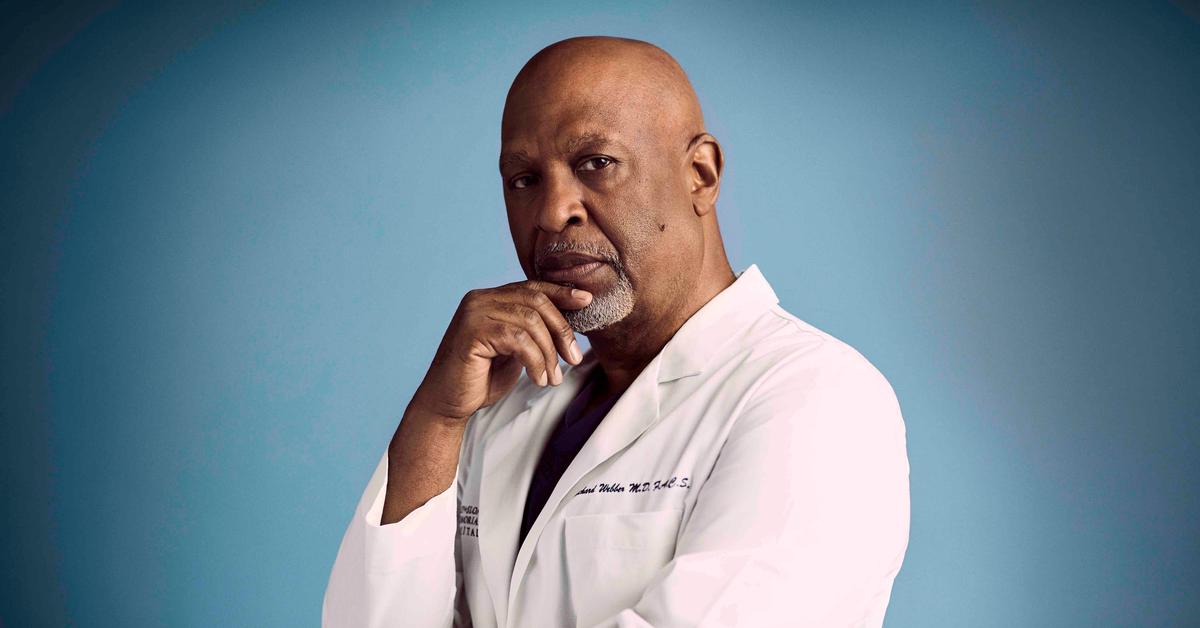 Is Richard Webber Leaving 'Grey's Anatomy'? Here's the Scoop