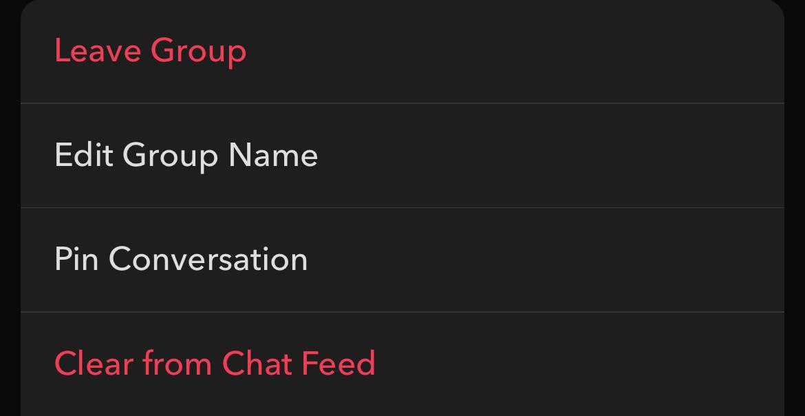 How to Make a Group Chat on Snapchat — Add Friends, Leave Chat
