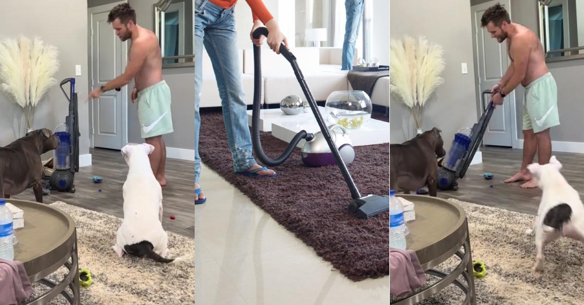 Man Yells at Vacuum to Ease Dogs' Anxiety
