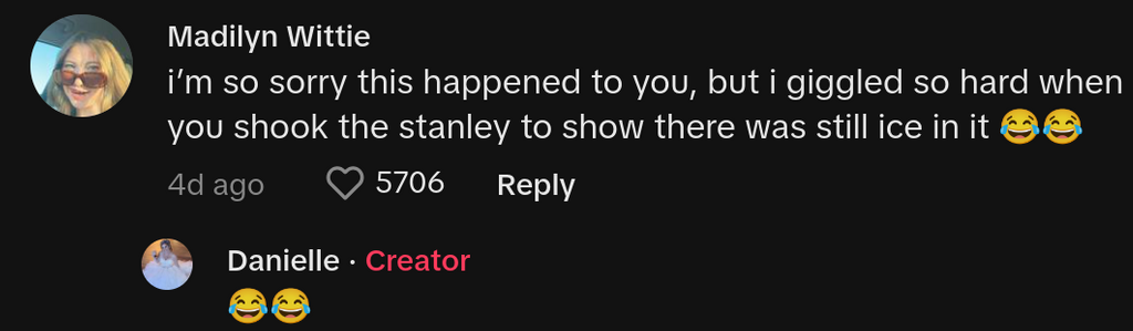 Ice Cubes Still in Stanley Mug, despite Being in Car Fire