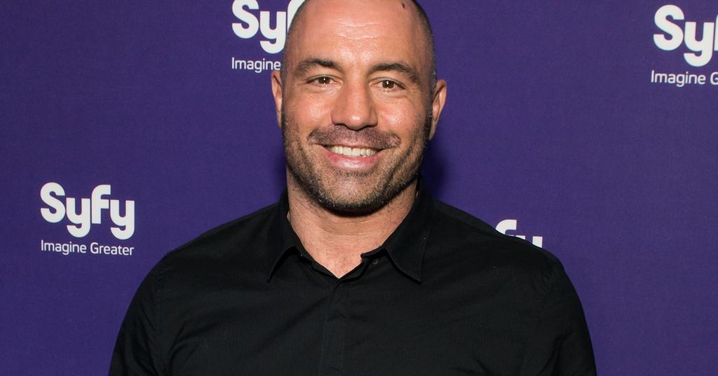 Who Is Joe Rogan's Wife? Meet Jessica Rogan!