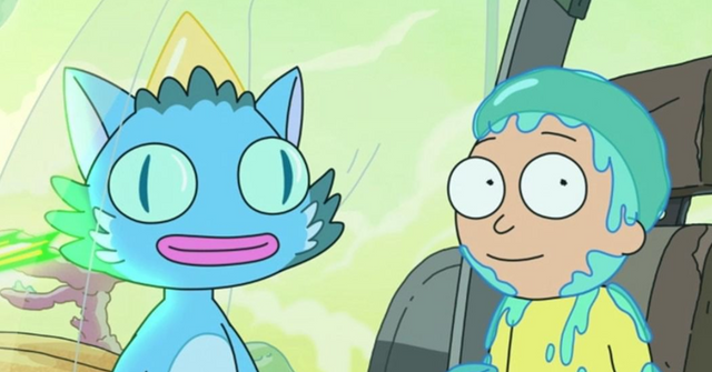 Why Can the Cat Talk in 'Rick and Morty'? Find Out What the Cat Did