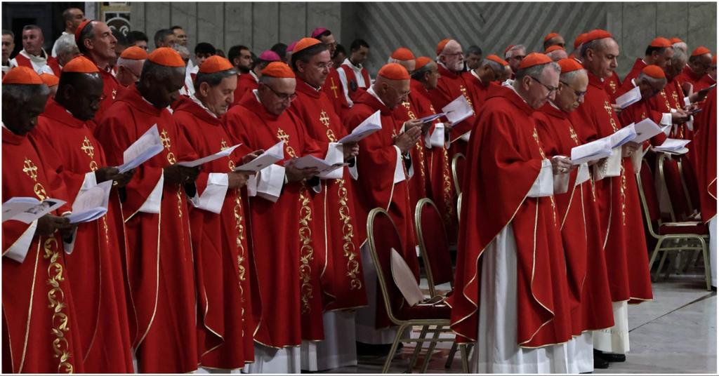 The Meaning of Different Hats Worn by Cardinals: Biretta to Galero