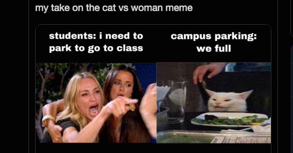 These White Cat Memes Are Peak Internet Humor, TBH — Details