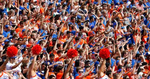 What Is Gator Bait Chant Meaning From the University of Florida ...