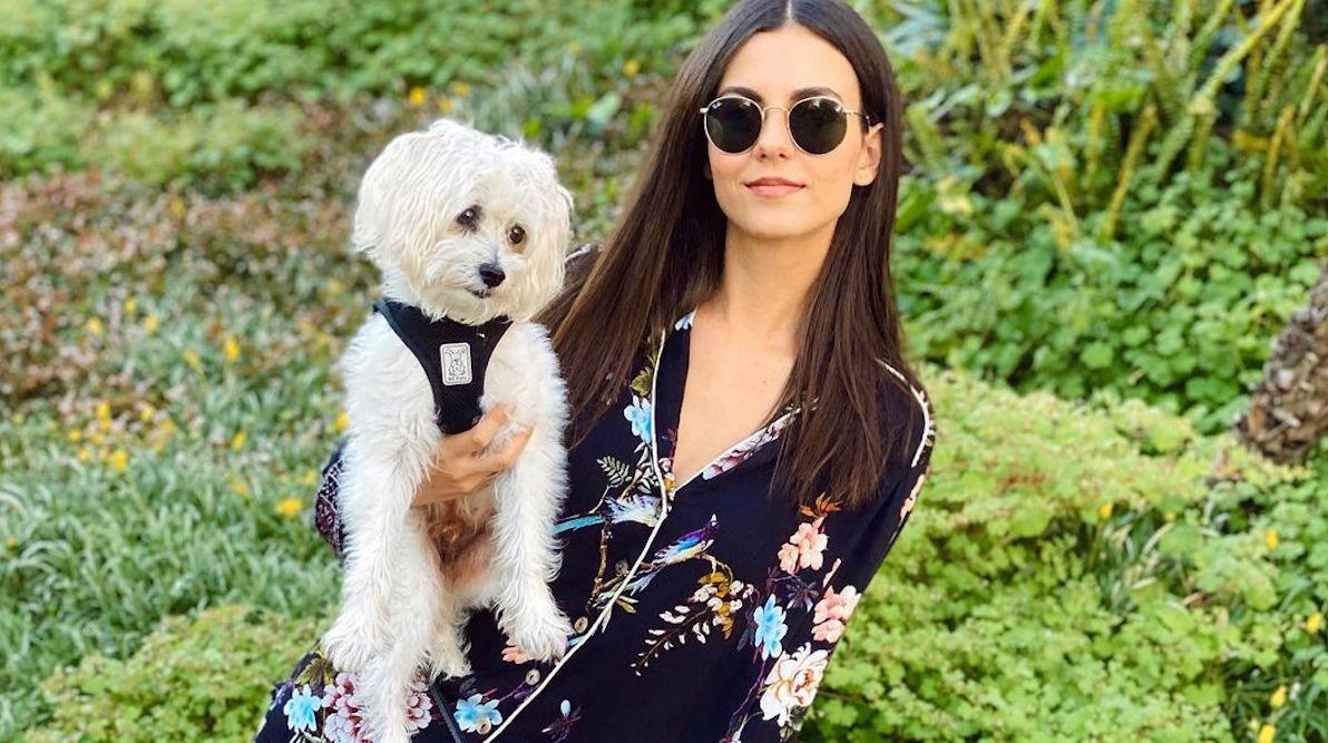 What Happened to Victoria Justice and Where Is She Now?