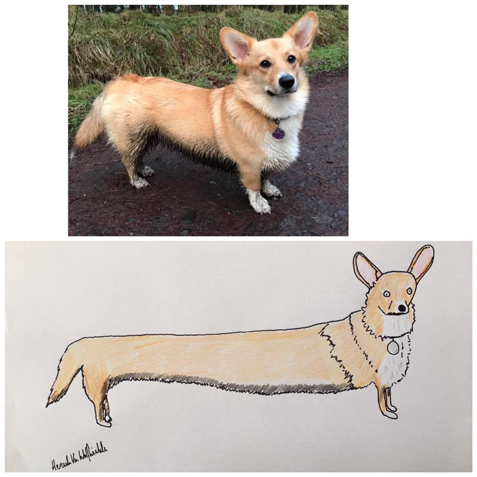 Man With Little Artistic Skill Draws Bad Pet Portraits for Charity