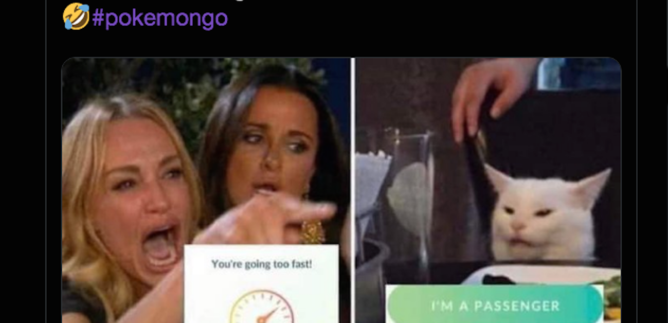 These White Cat Memes Are Peak Internet Humor, TBH — Details