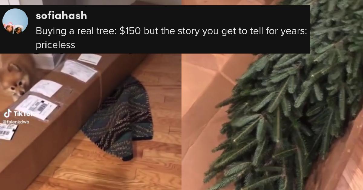 Woman Thought She Was Buying a Fake Christmas Tree Online