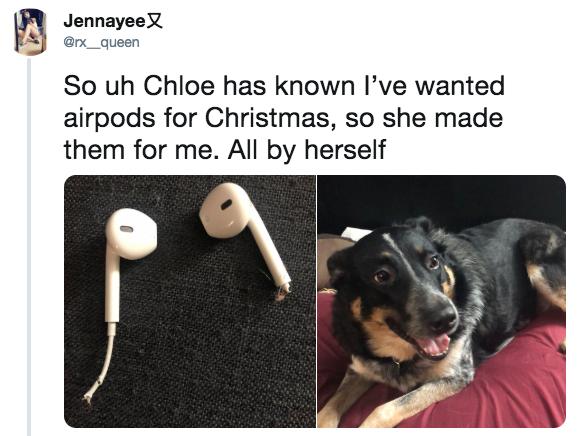 36 AirPods Memes to Show Your Friends Who Won't Shut up About How ...
