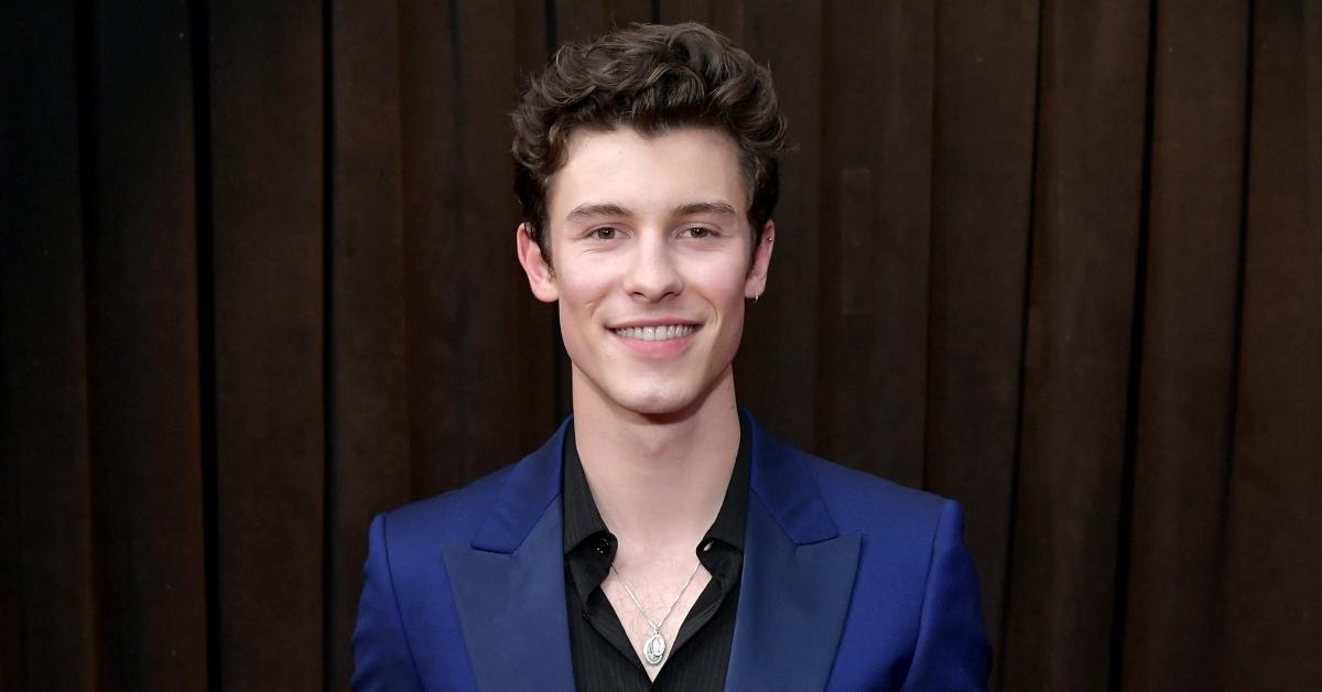 Shawn Mendes' New Back Tattoo: Why Fans Are Sure He Has New Ink