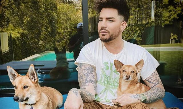 Who Is Adam Lambert's Partner? The Singer Reveals His Current Dating Status