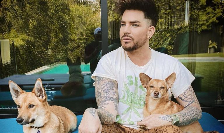 Who Is Adam Lambert's Partner? The Singer Reveals His Current Dating Status