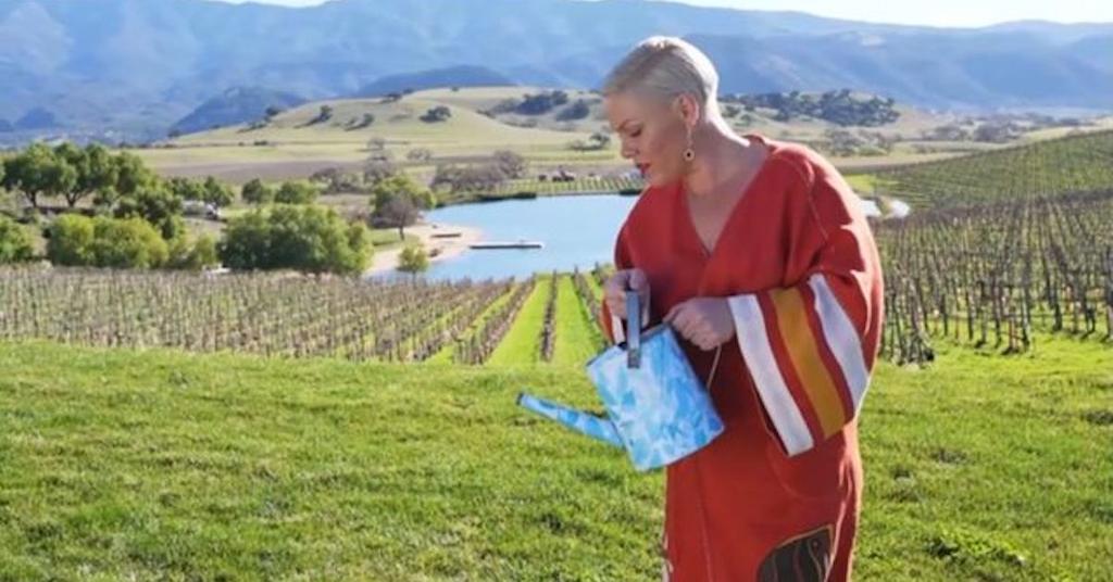 Where Is Pink's Ranch? She's Living Her Best Life With Her Family