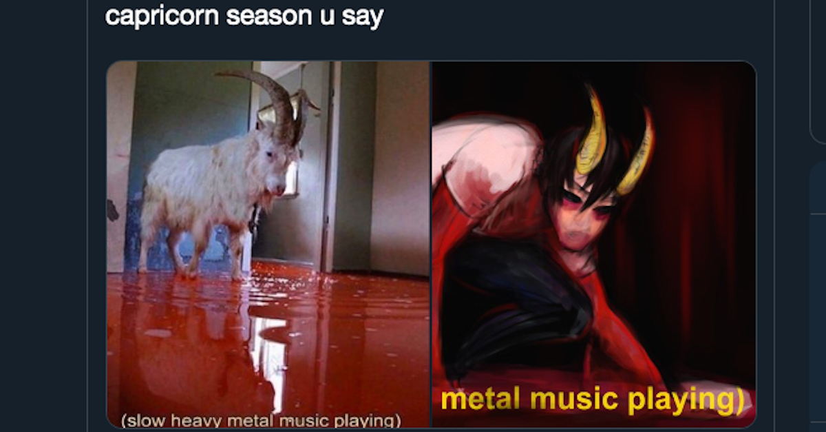 These Capricorn Season Memes Will Totally Speak to Your Inner Goat