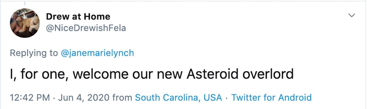 Giant Asteroid to Hit Earth Memes That Embody 2020