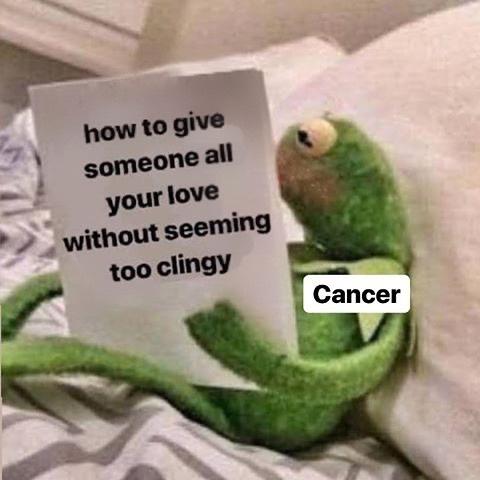 23 Cancer Season Memes You'll Find Astonishingly Relatable